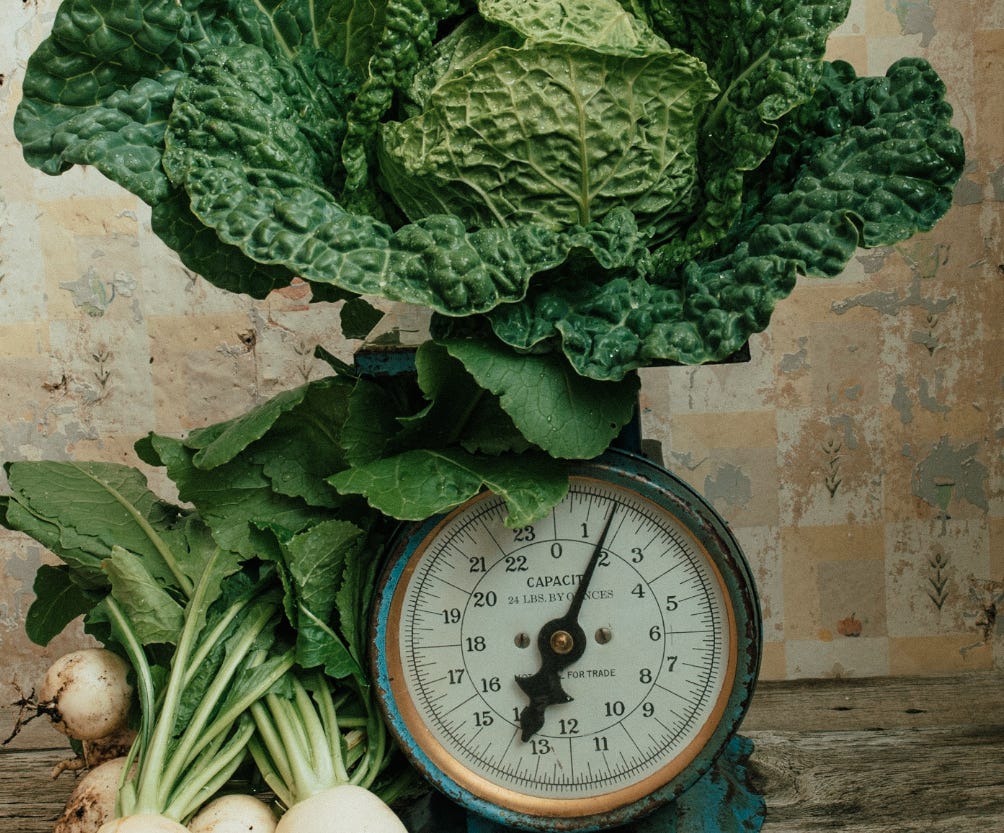 The Elliott Homestead Newsletter | Shaye Elliott | Substack