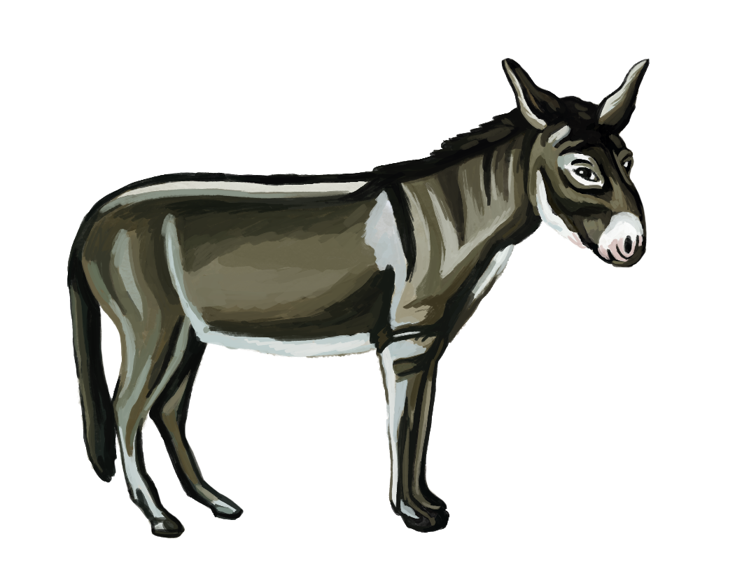 Dark Horse by Laurel Braitman | Substack