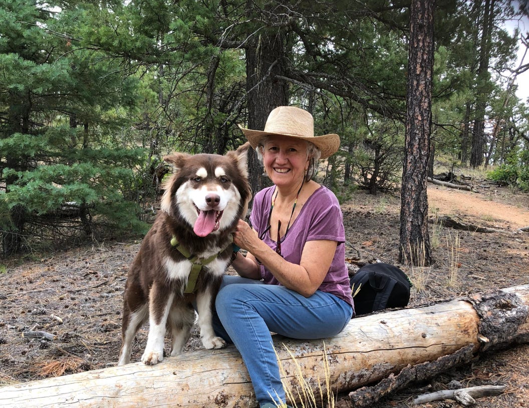 The Heretical Vet | Dee Blanco, DVM | Substack