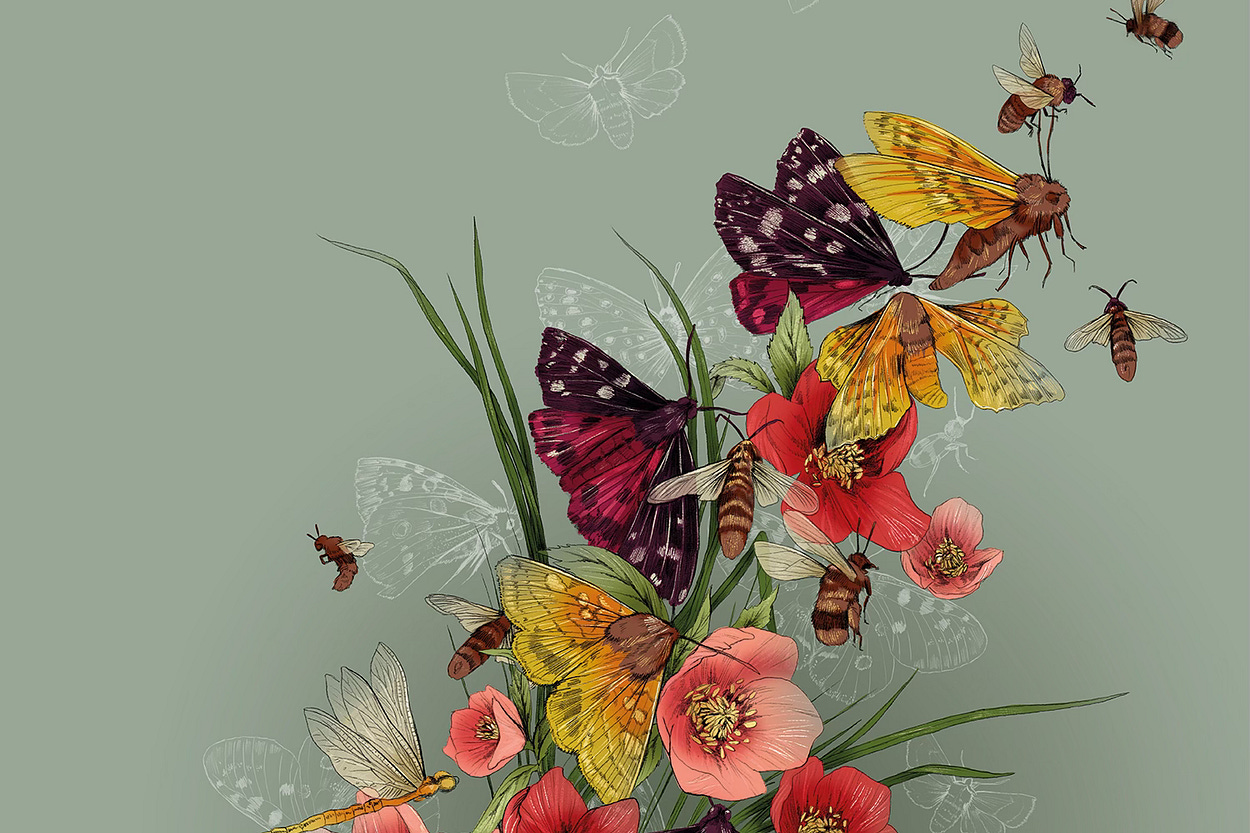 Creative Cocoon | La Scarlatte | Substack