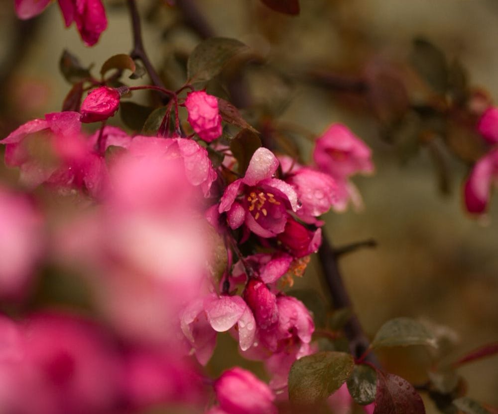 Searching for the truth | Jocelyn Elizabeth | Substack