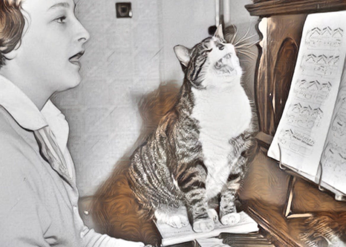 Pokrass Prompts for Creatives | Substack