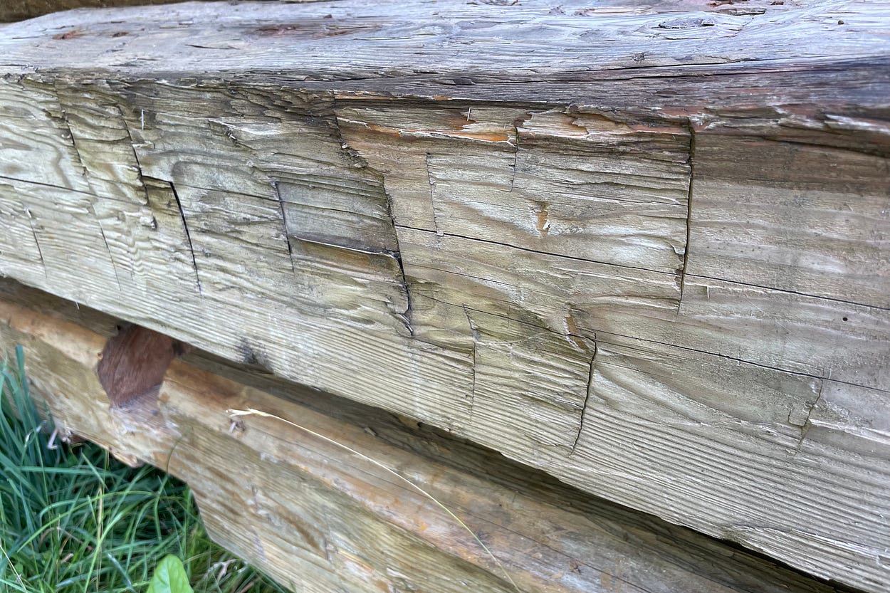 Green Dream Stories | Brian Cali | Substack