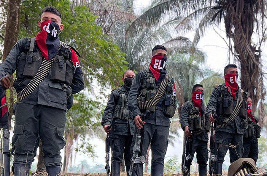 Pirate Wire Services | Joshua Collins | Substack