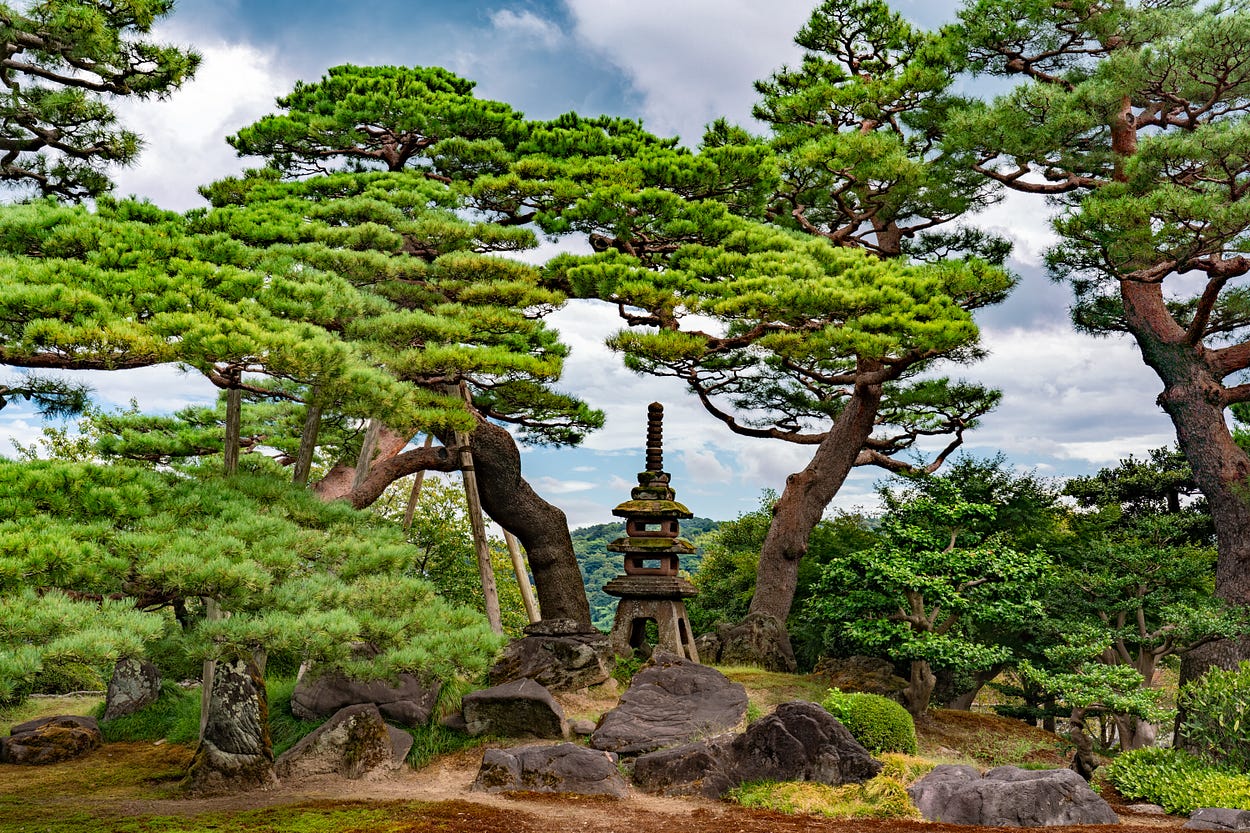 Best Technology Newsletters on Substack