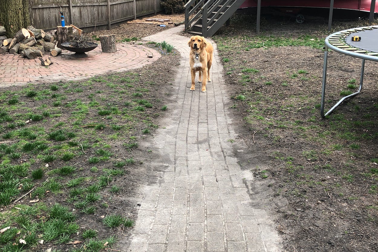 At Home | Sarah Drake | Substack