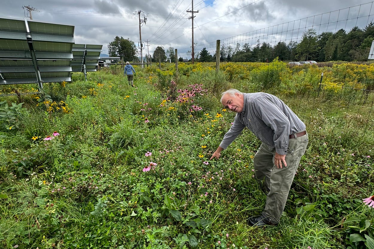 Best Climate & Environment Newsletters on Substack