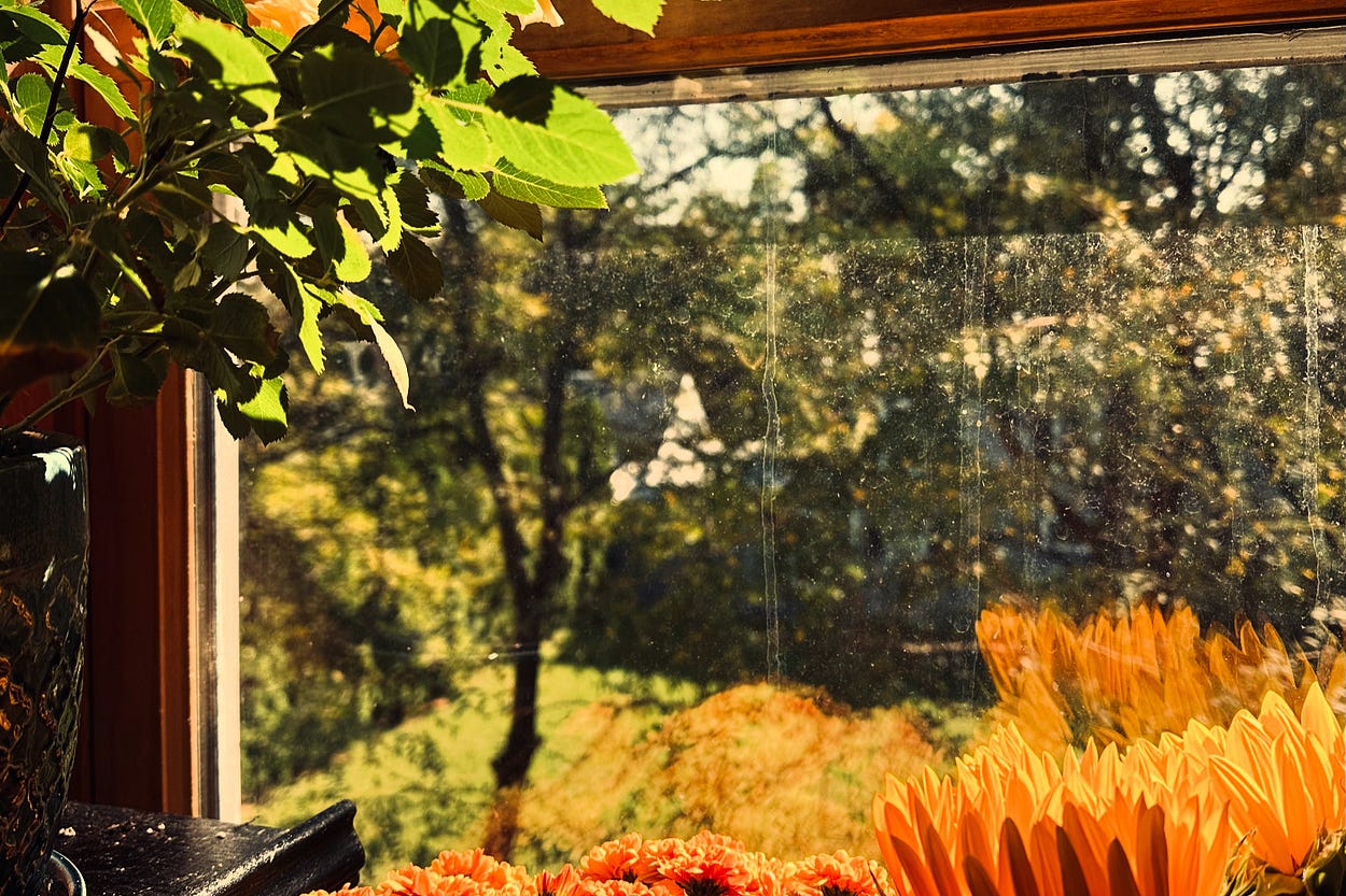 Dispatches From the Basement | Joseph Massey | Substack