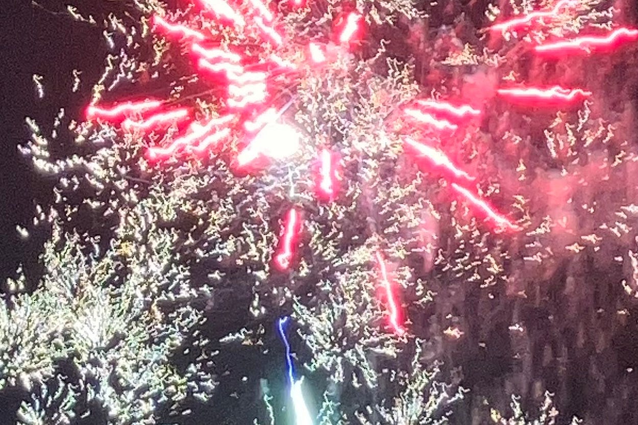 The Lactation College on Substack | Barbara L. Philipp, MD | Substack