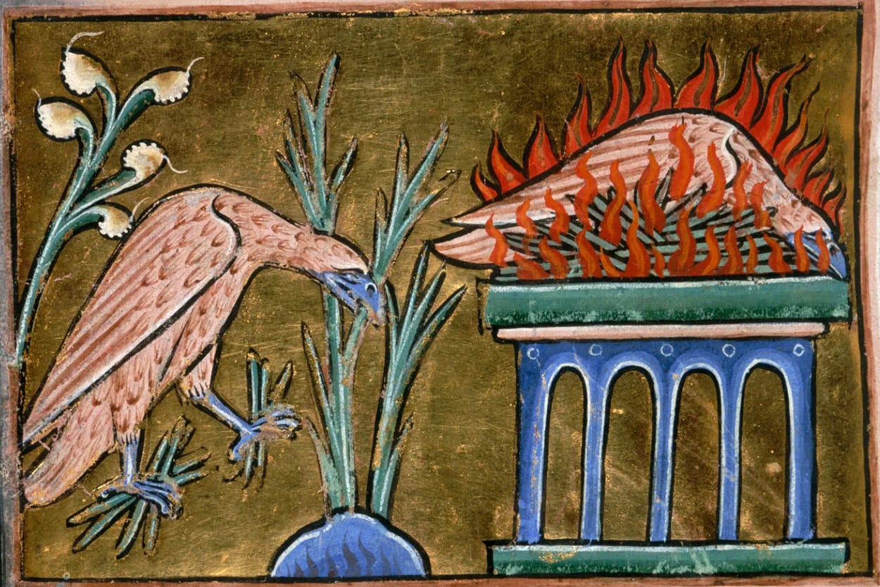 The Hinternet | Justin Smith-Ruiu | Substack