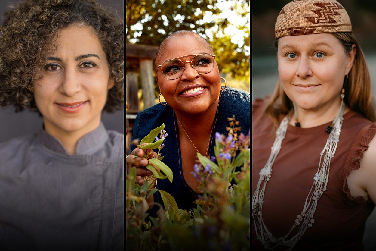 Salt + Spine | Brian Hogan Stewart | Substack