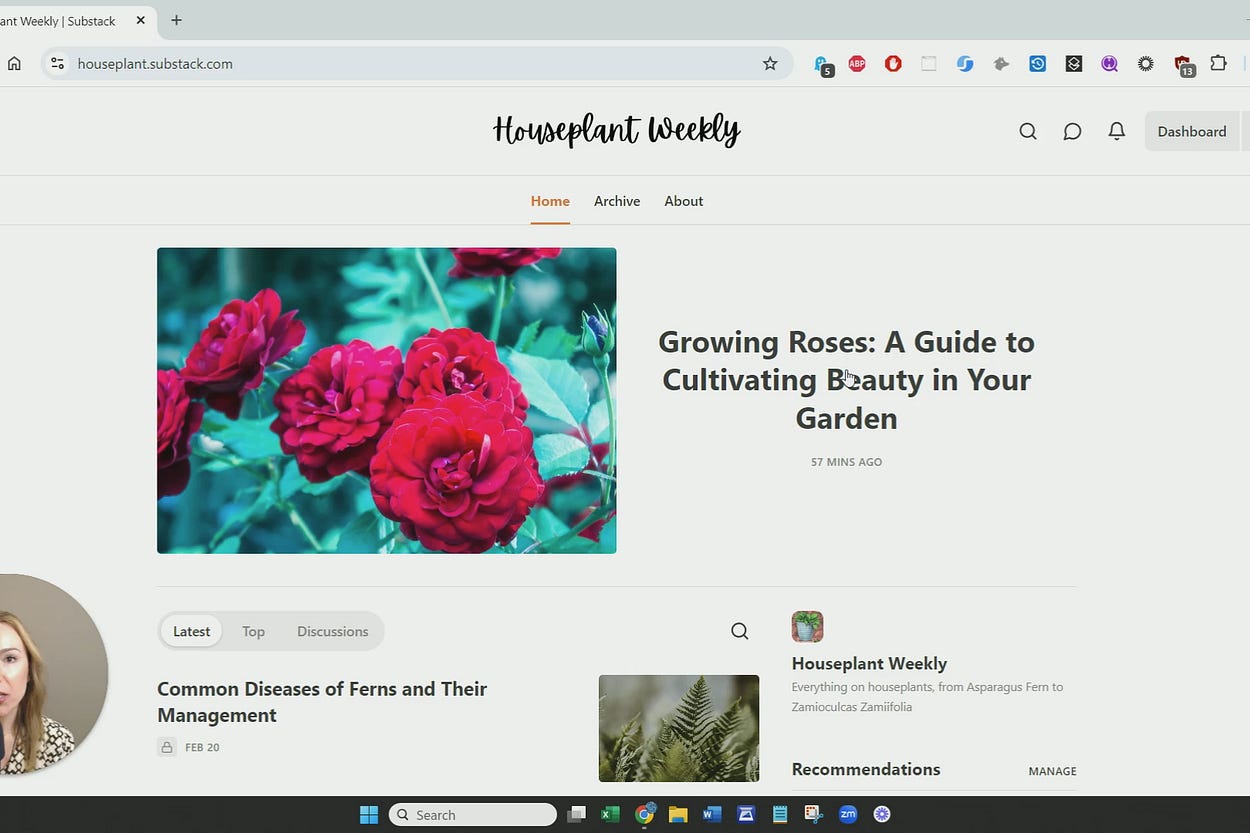 Linda's Substack | Substack