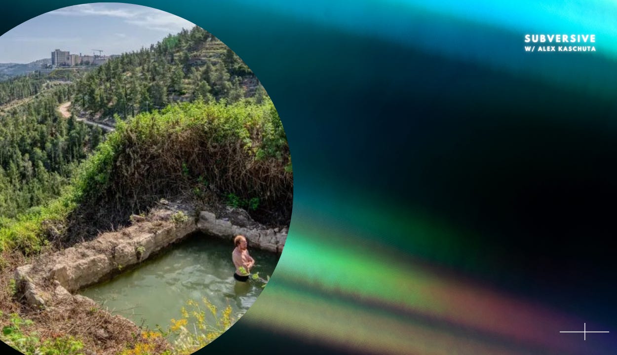 The Garden of Earthly Delights | Alex Kaschuta | Substack