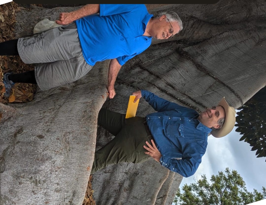 Best Travel Newsletters on Substack