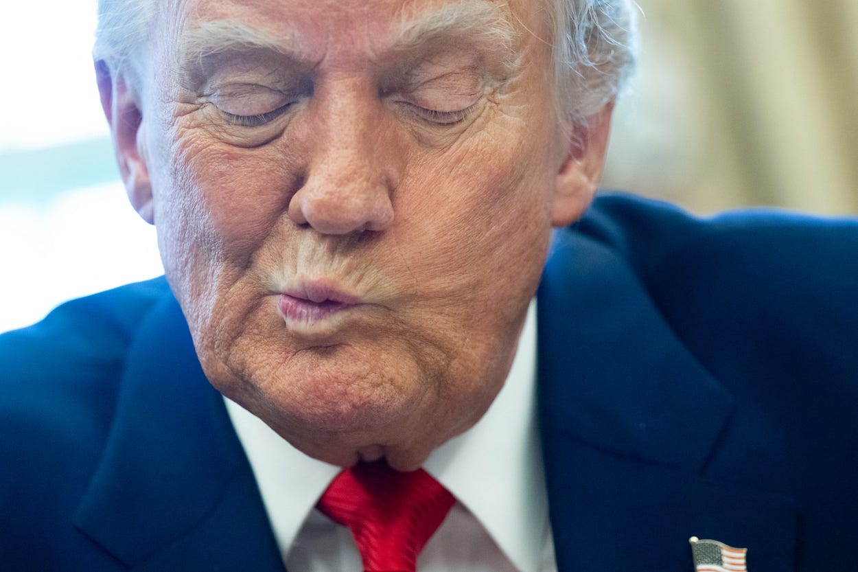 Public | Michael Shellenberger | Substack