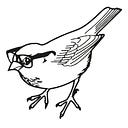 Mary Harrington | Substack