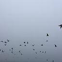 Haley Baumeister | Substack