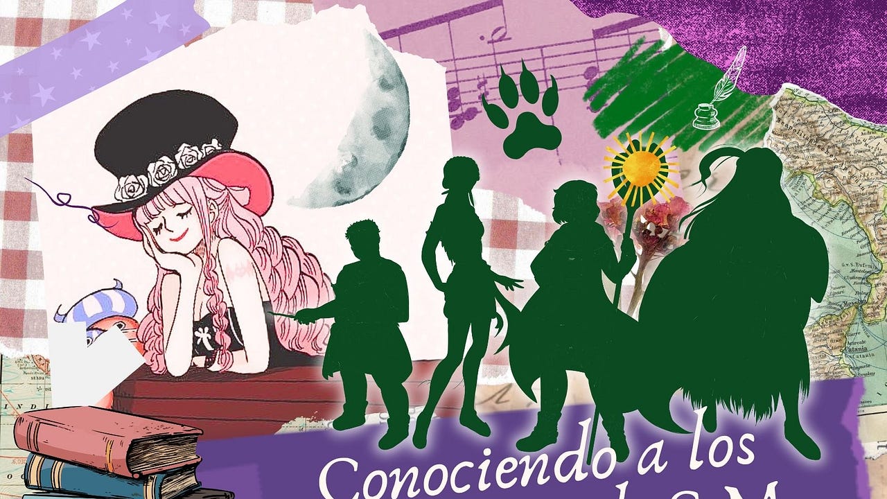 La urraca del Velo | Rea L. López | Substack