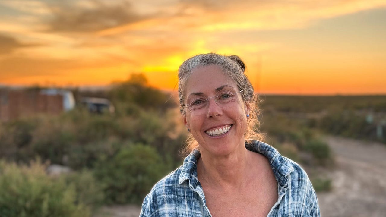 Letters From Turkey Town | Tina Hedin | Substack