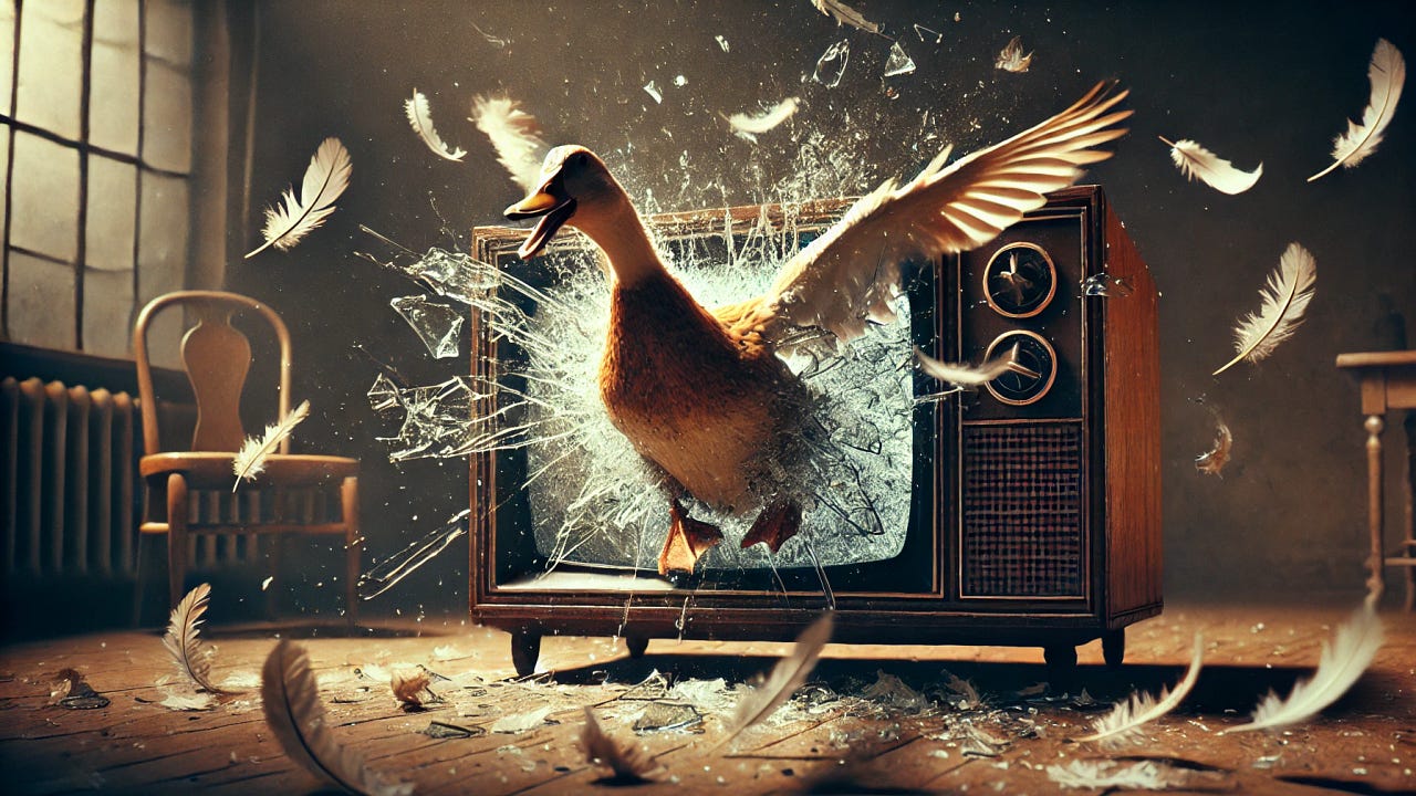 A Lily Bit | Substack