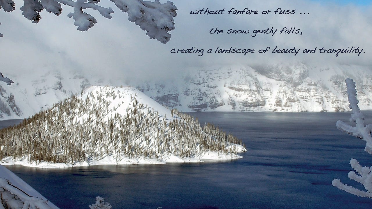 Cheryl’s Substack | Substack