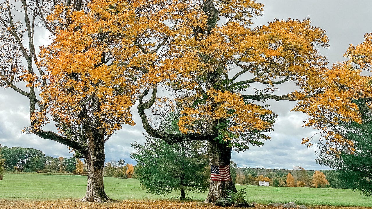 Emily Ley’s Substack | Substack