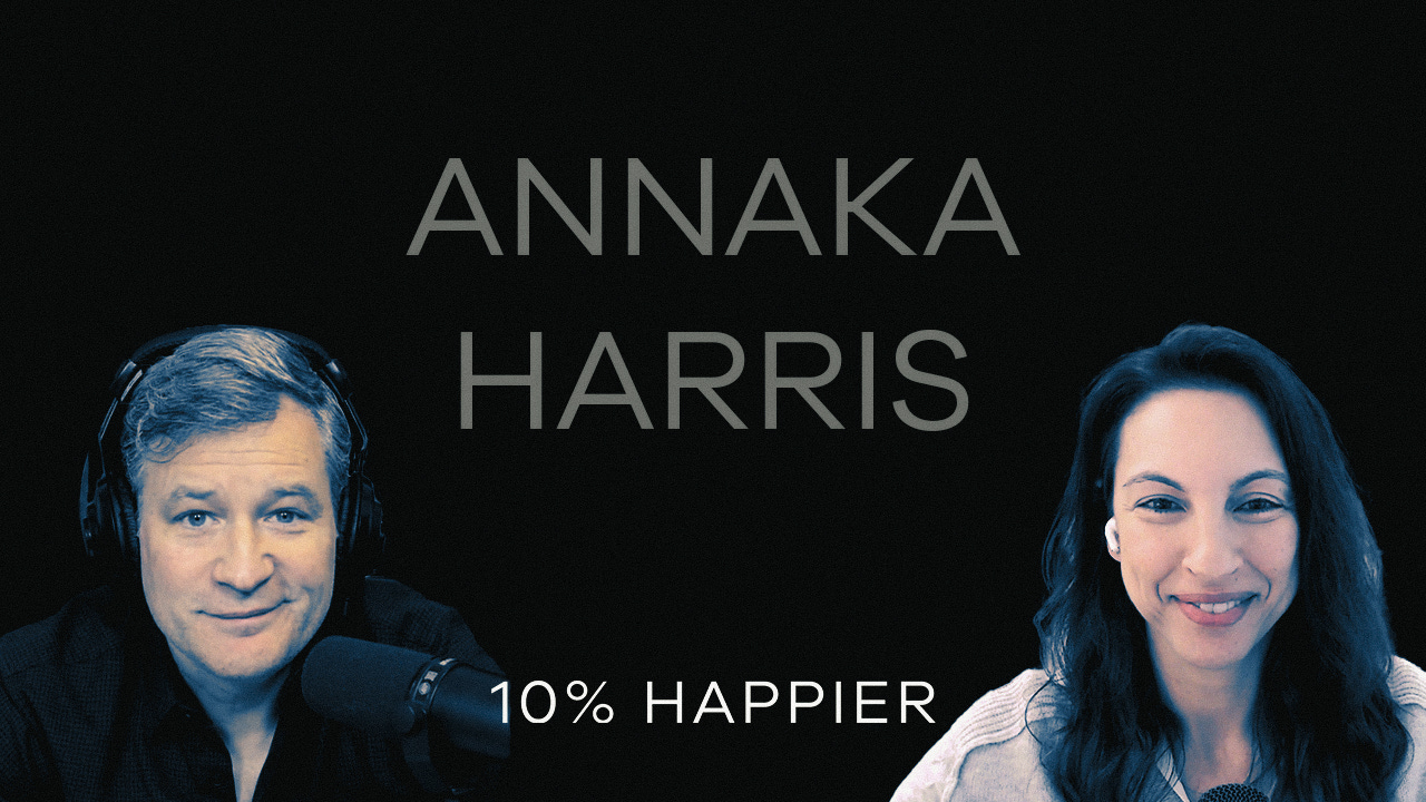 Dan Harris | Substack