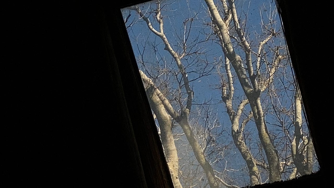 Team McComas | Wade McComas | Substack