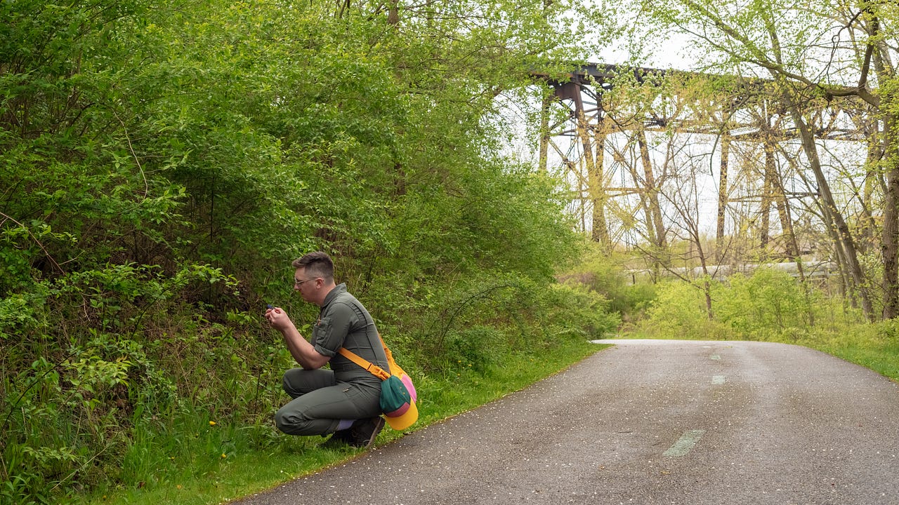 The Wild Grocery | JB Douglas | Substack