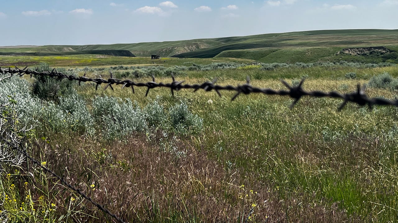 On the Commons | Antonia Malchik | Substack