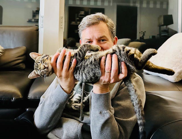 Dan Harris | Substack