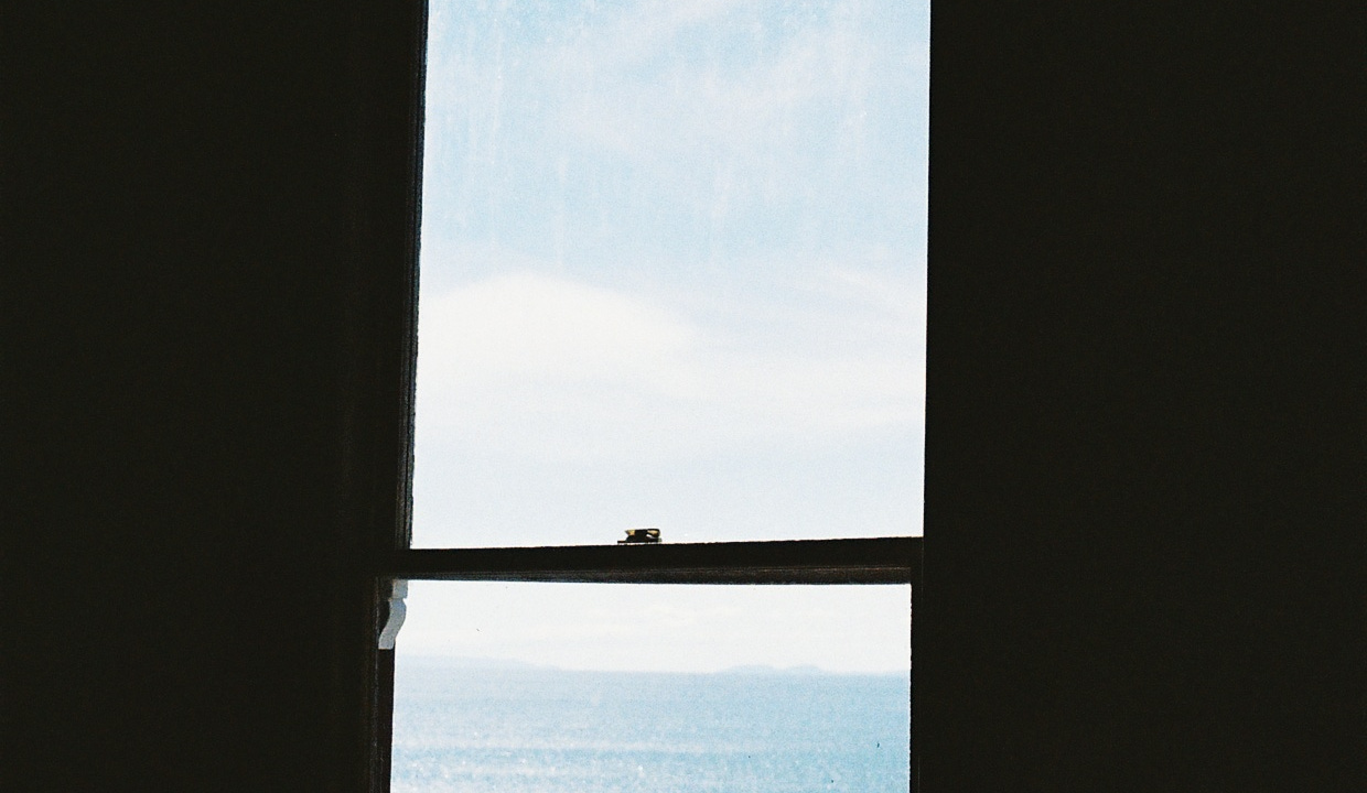 lowana | Elena | Substack