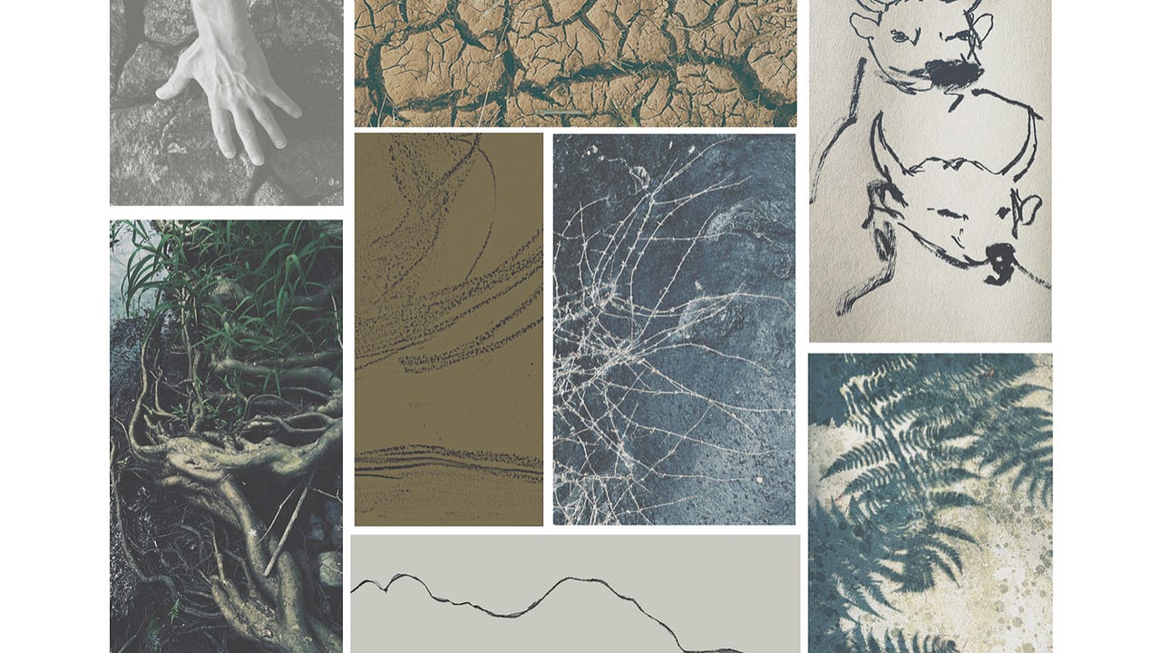 misty mawn | Substack