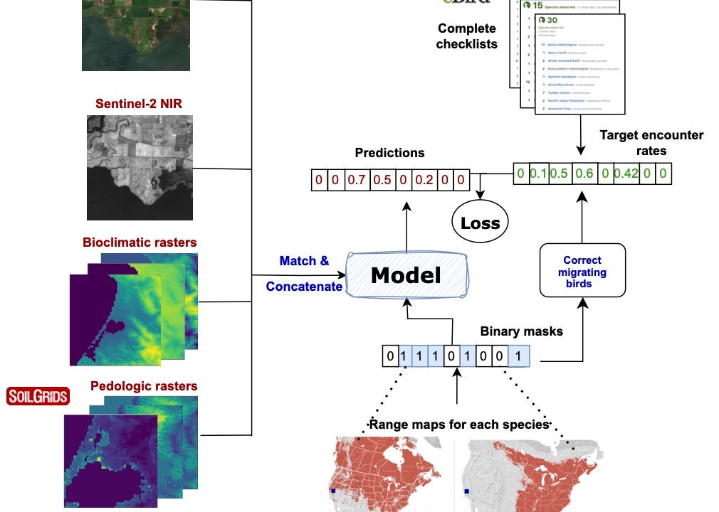 satellite-image-deep-learning | Robin Cole | Substack