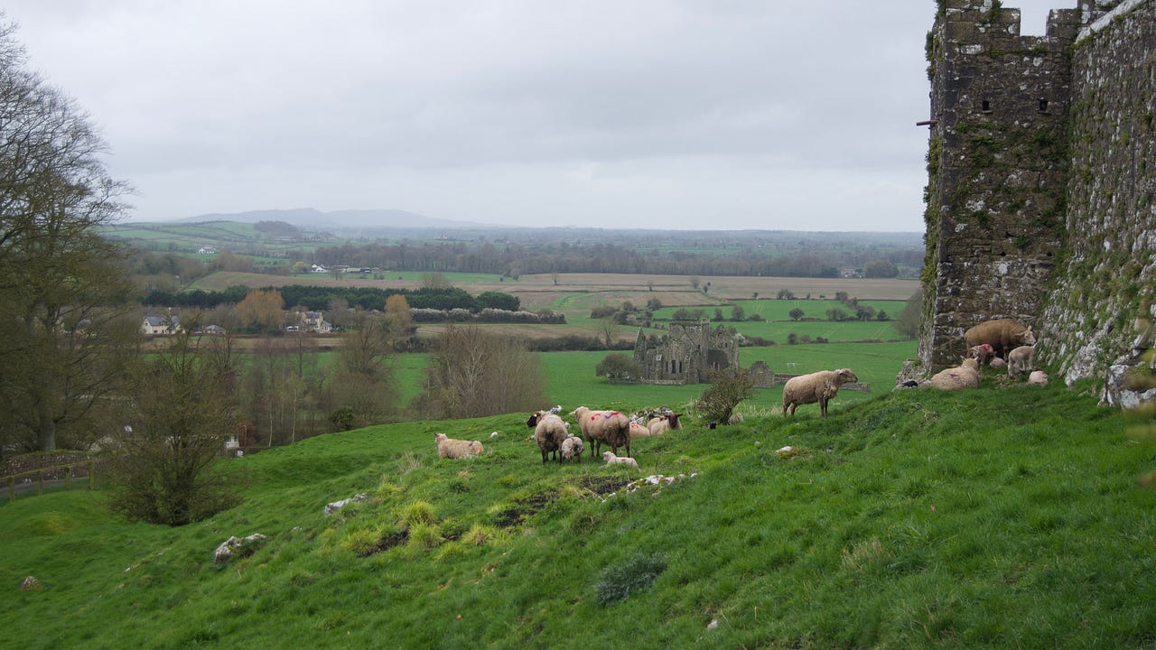 Love, Libby | Substack