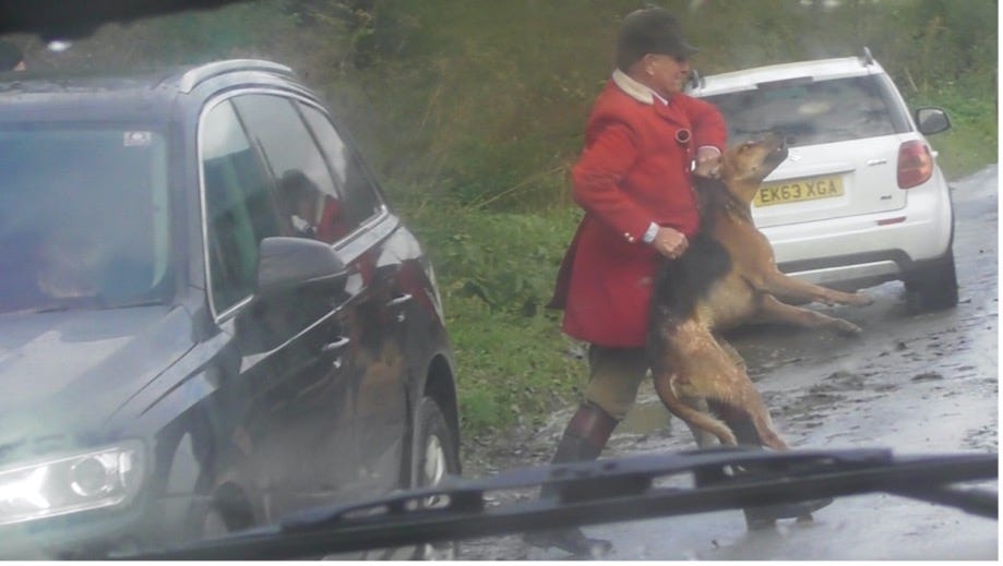 Protect the Wild | Substack