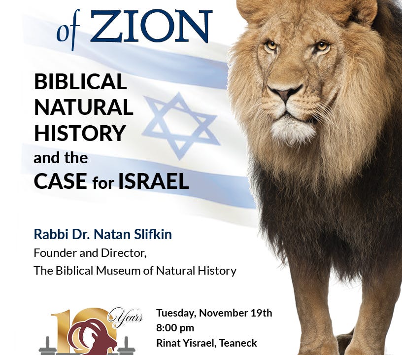 Rationalist Judaism | Natan Slifkin | Substack