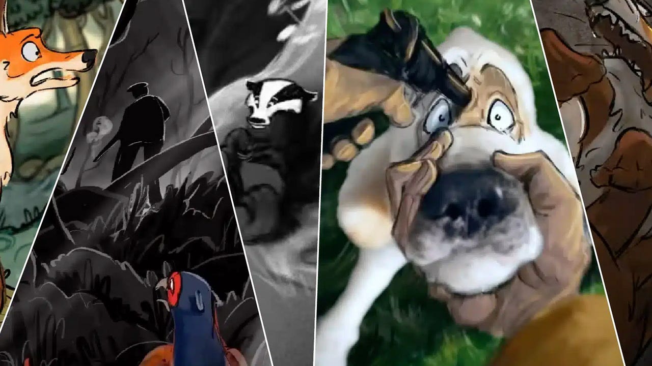 Protect the Wild | Substack