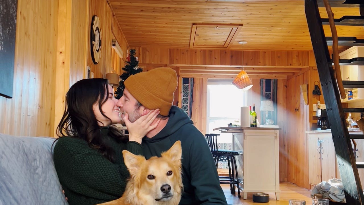 Dogs & the City | Isabel Klee | Substack