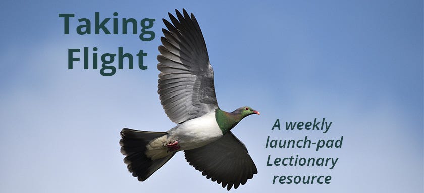 Taking Flight | Kereru Publishing | Substack