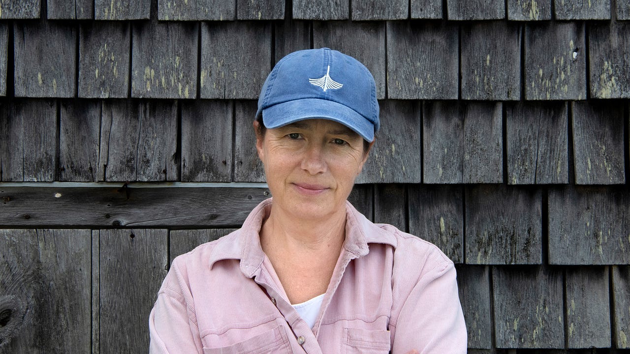 Letters from an American | Heather Cox Richardson | Substack