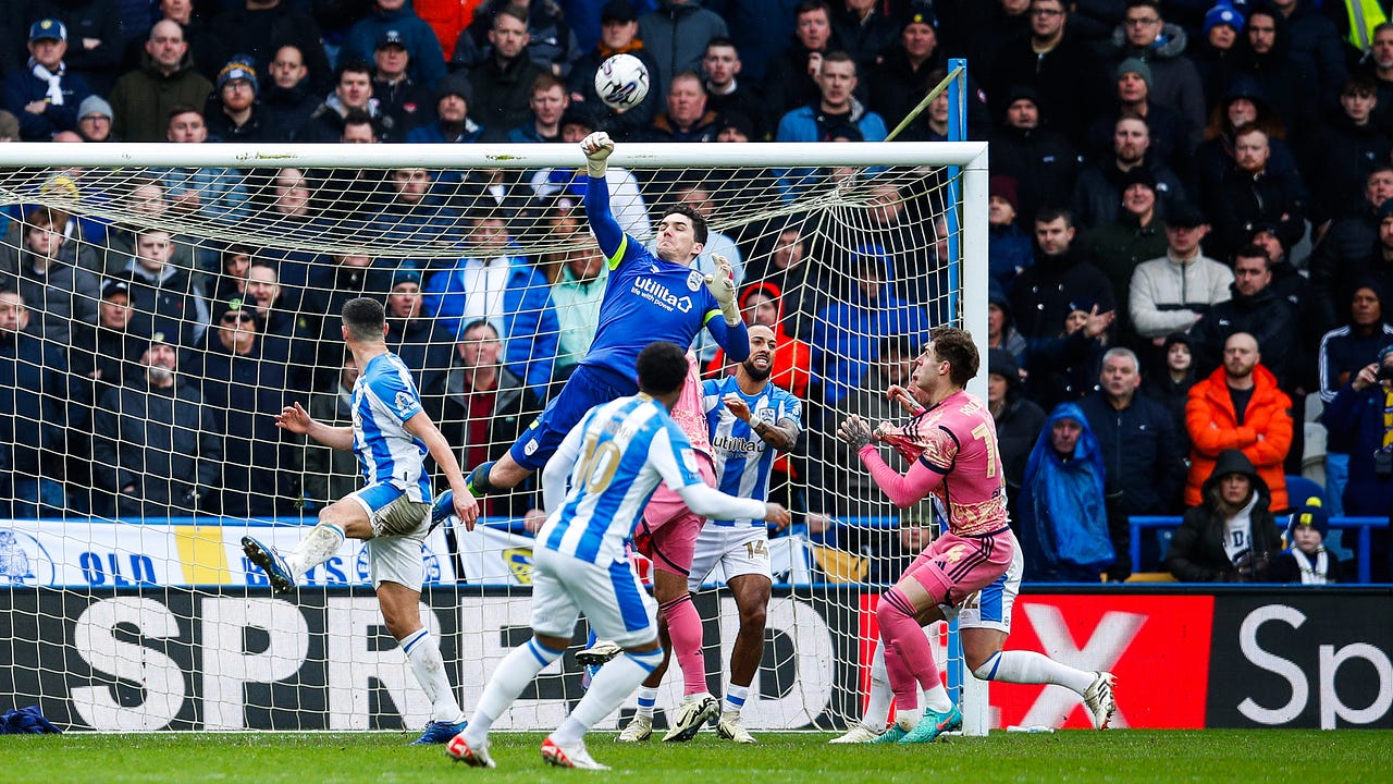 We Are Terriers | Steven Chicken | Substack