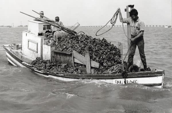 Aesthetic Resistance Podcast | Substack