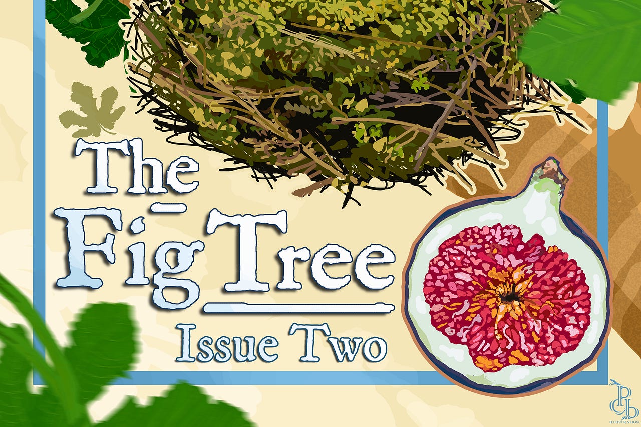 The Fig Tree | Tim Fellows | Substack