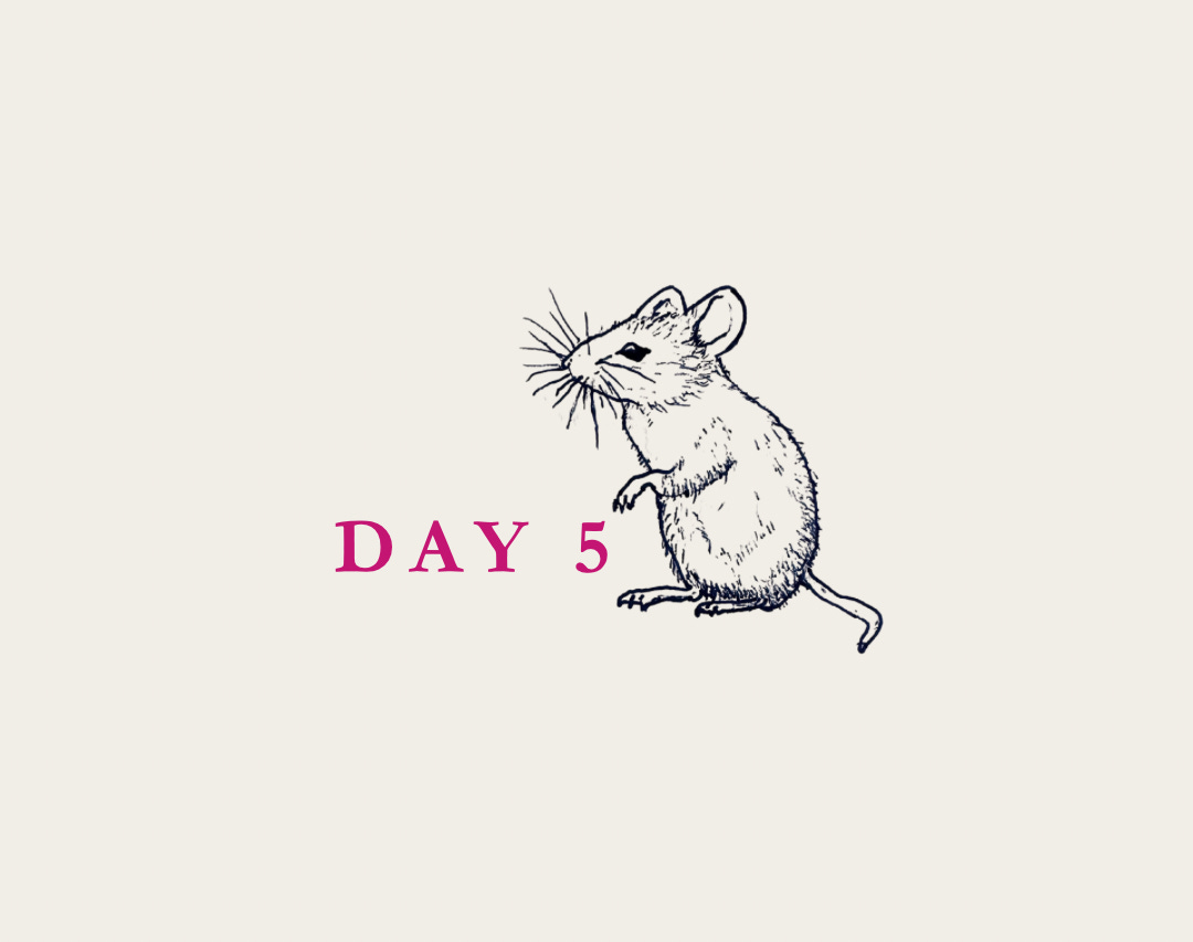 Monica’s Substack | Monica Padman | Substack