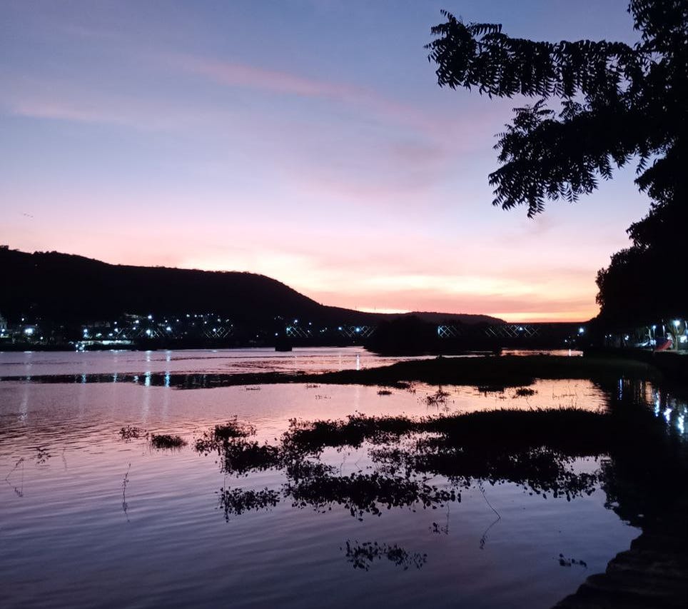 O Substack de Bruna Frascolla | Substack