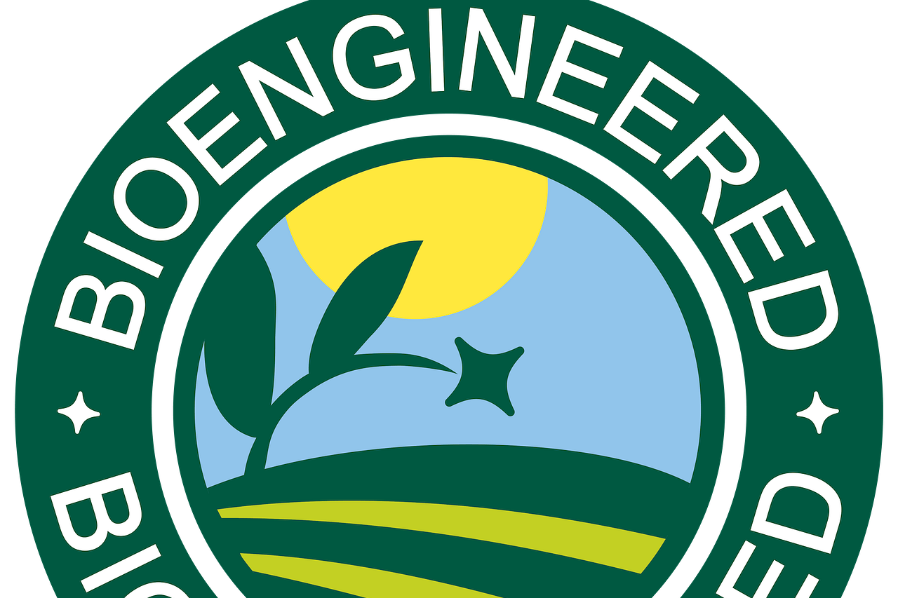 Oscillator | Christina Agapakis | Substack