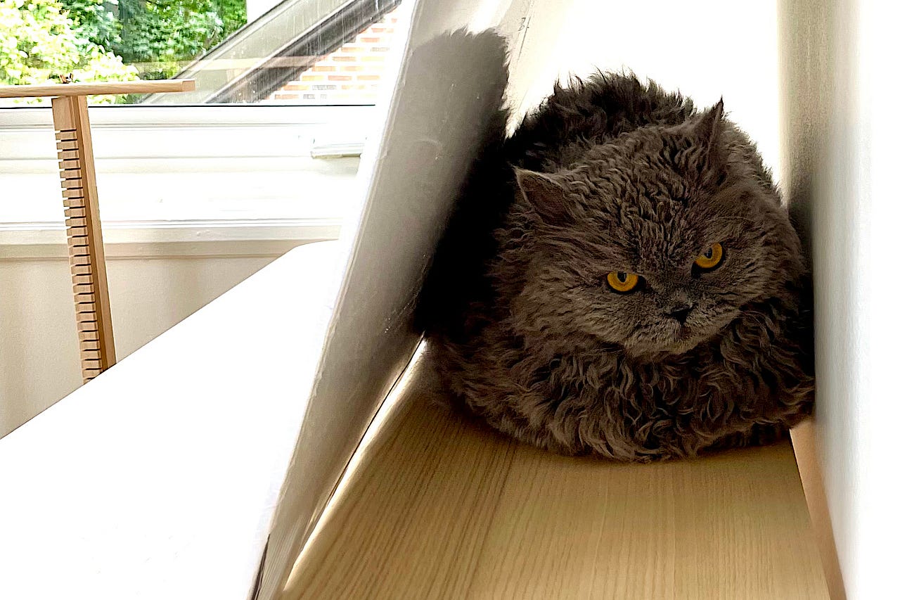 Embodied awareness | Bill Klein | Substack