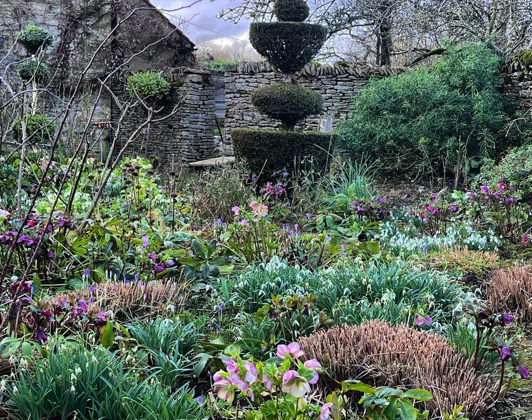 Arthur Parkinson | Substack