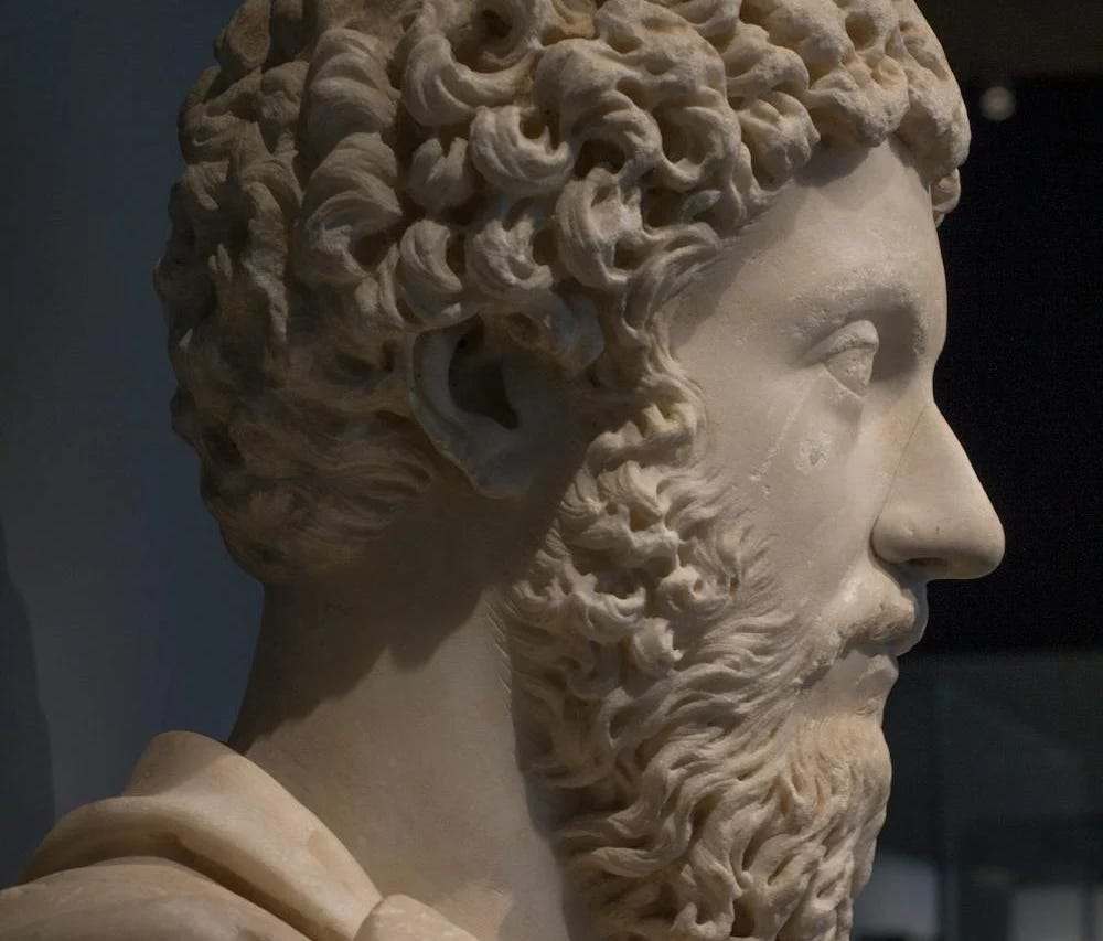 Tim @ North and South | TIMOTHY SHORT | Substack